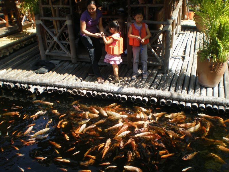 Isdaan Floating Restaurant (Gerona, Gerona, Tarlac) Photos ...