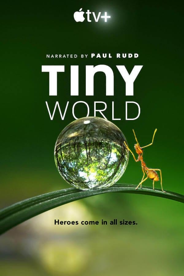 Tiny World | ClickTheCity TV