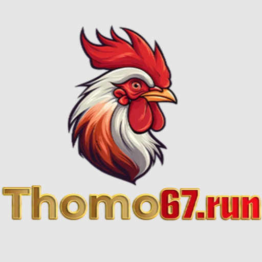 THOMO67 (@thomo67run) | My ClickTheCity