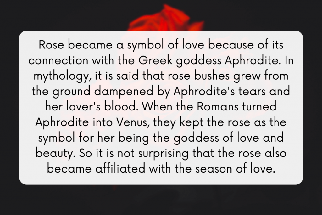 5 Facts You Might Not Know About Valentine's Day - ClickTheCity