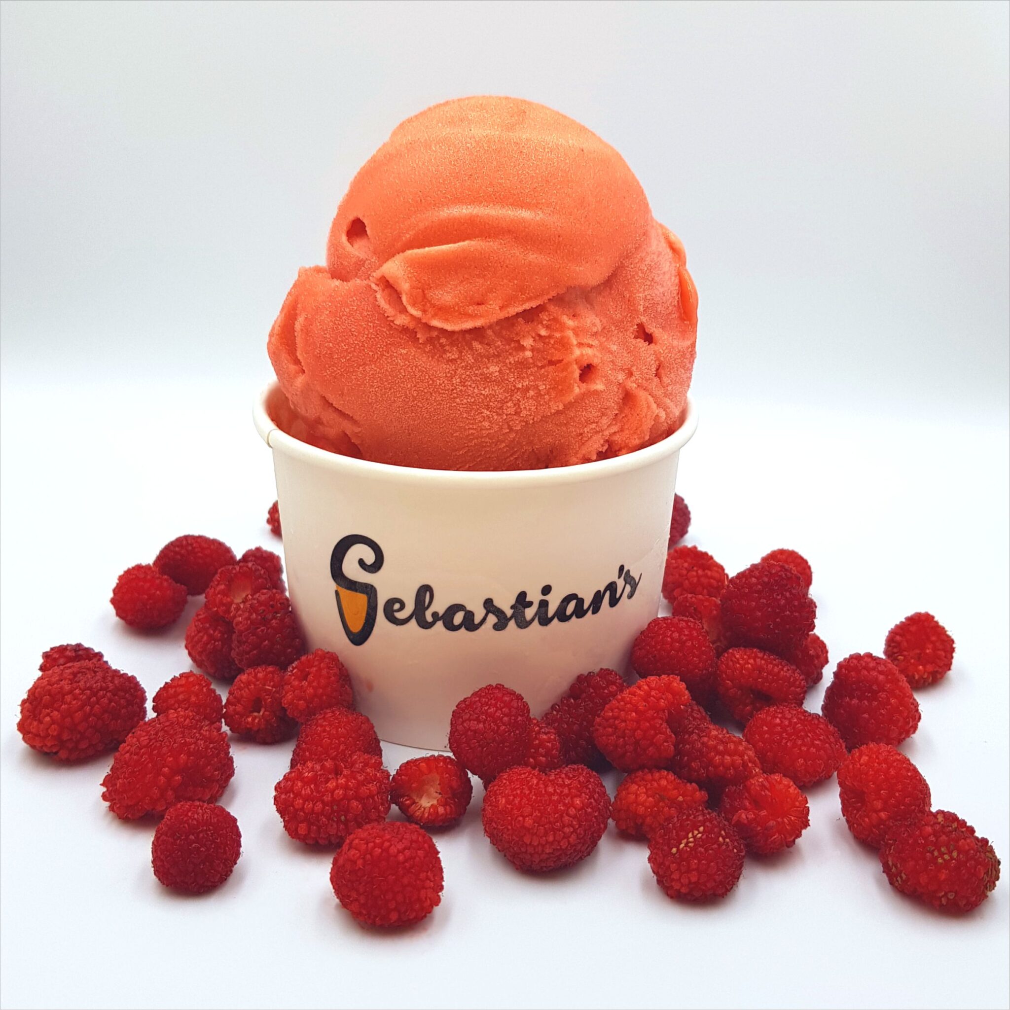 Here’s Your Chance to Try Local Sampinit Berry Ice Cream This Summer ...