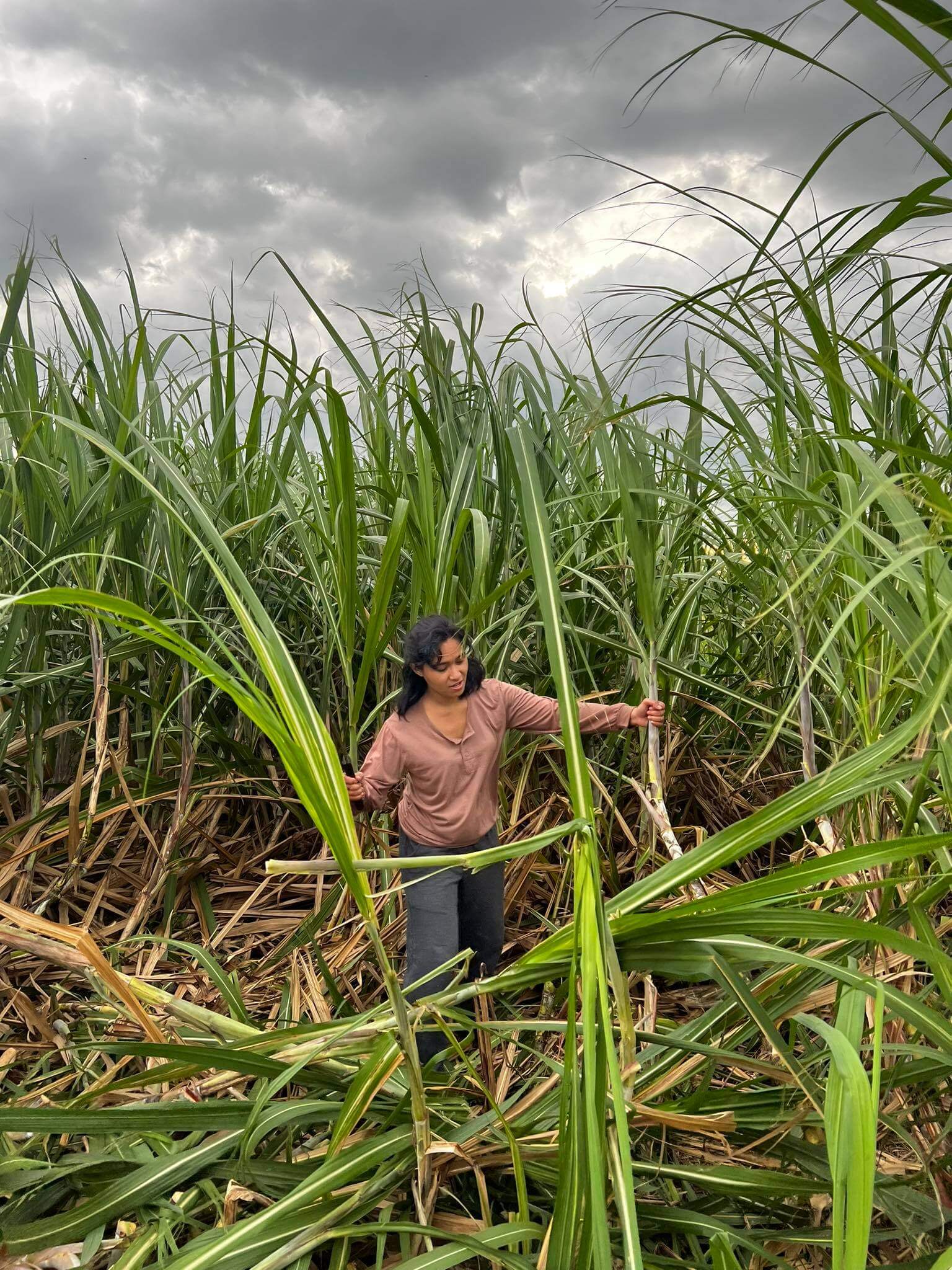 New Takes On Filipino Lullabies In Himig Himbing: Mga Heleng Atin ...