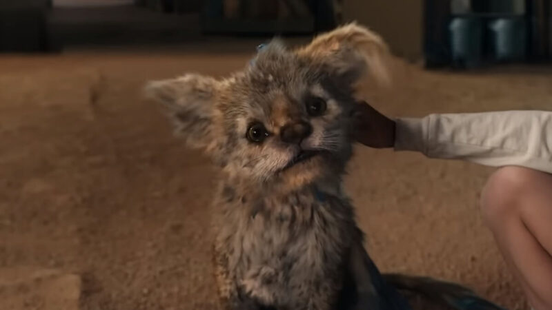 WATCH: A Boy Befriends An Adorable Chupacabra in Netflix's Cute ...