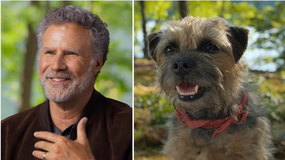 Will Ferrell voices abandoned dog in raunchy heartwarming comedy ...