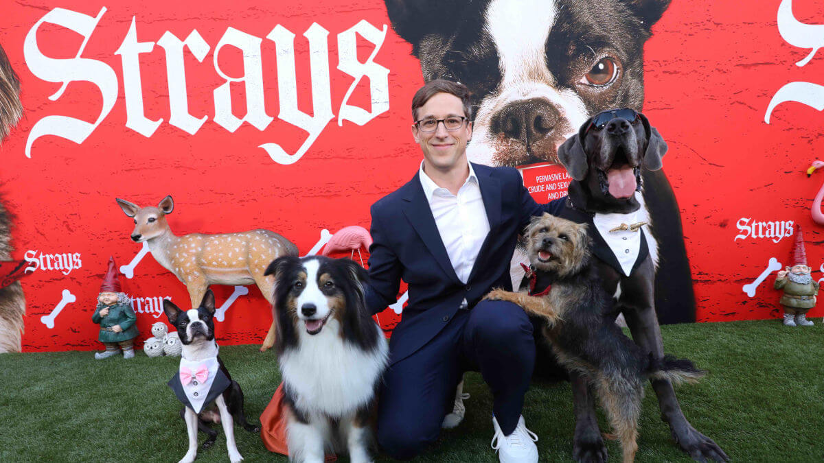 Not-For-Kids “Strays” Dog movie subverts genre with a Powerhouse ...