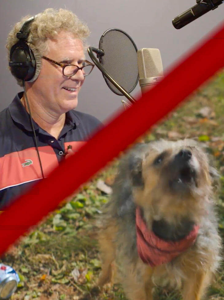 Not-For-Kids “Strays” Dog movie subverts genre with a Powerhouse ...