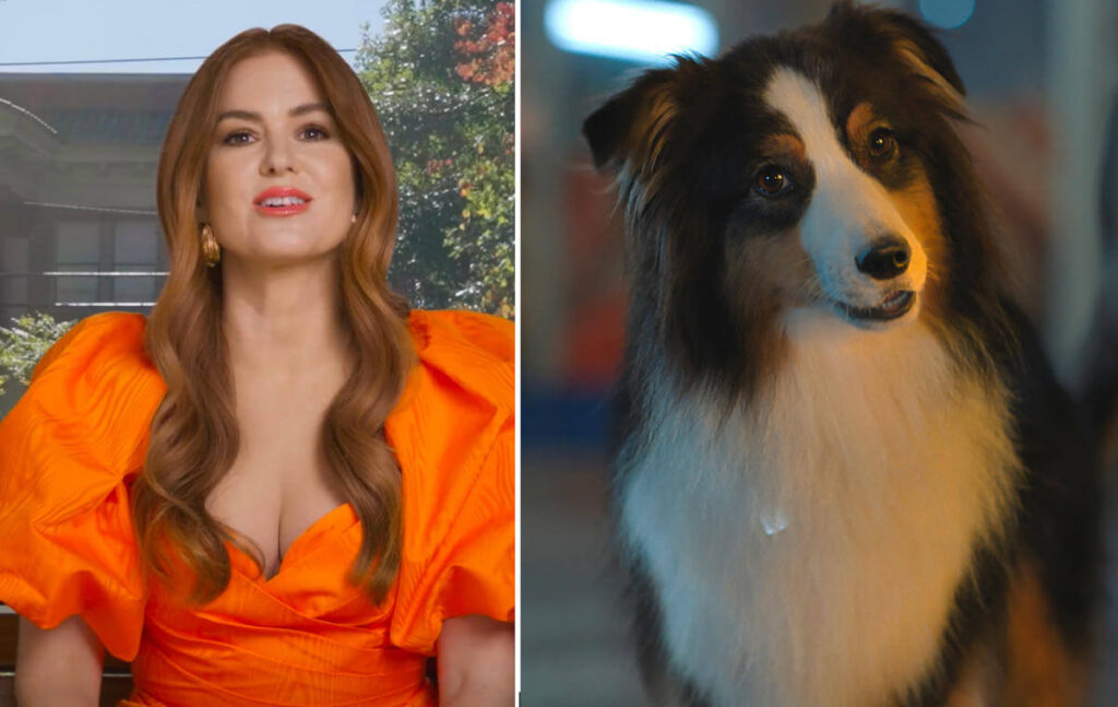 Not-For-Kids “Strays” Dog movie subverts genre with a Powerhouse ...