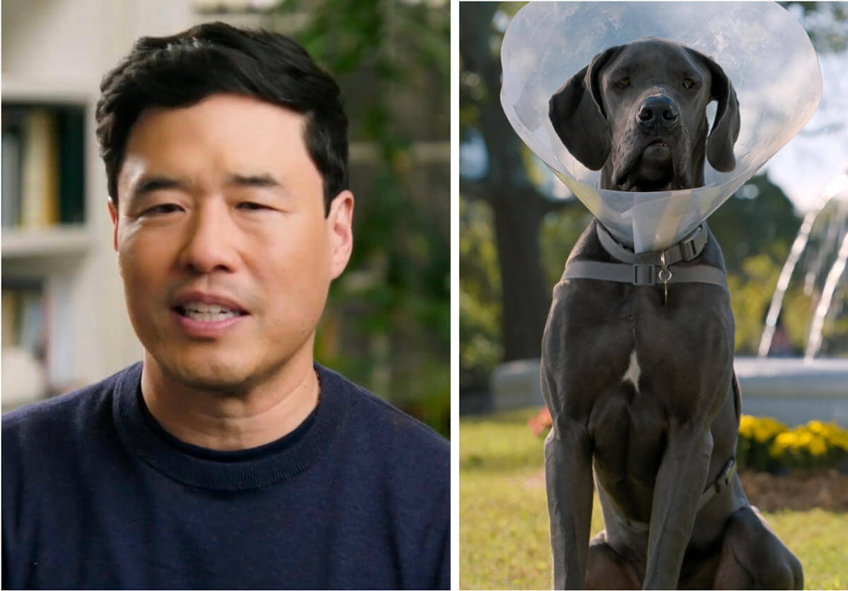 Not-For-Kids “Strays” Dog movie subverts genre with a Powerhouse ...