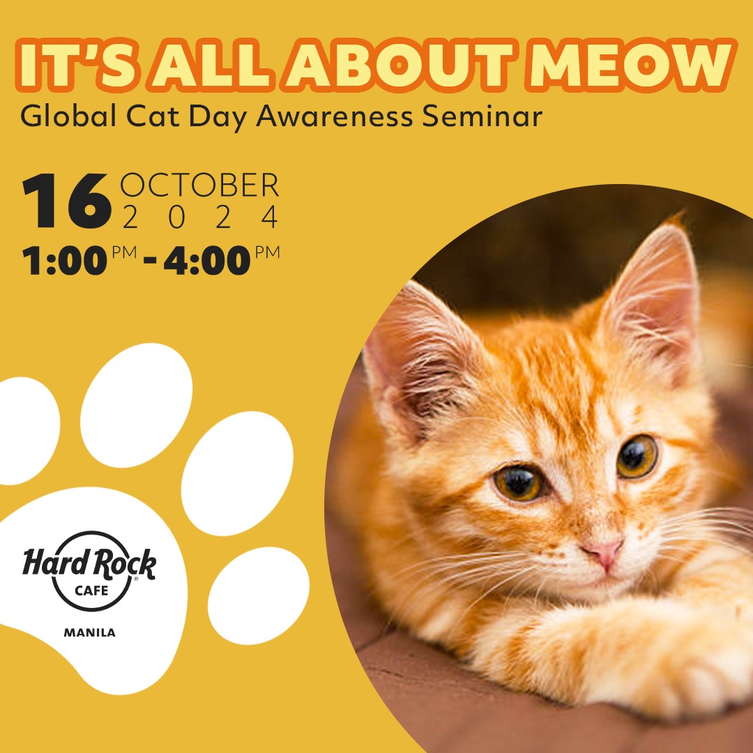 Celebrate Global Cat Day with Hard Rock Cafe Manila’s FREE Cat Awareness Seminar | ClickTheCity