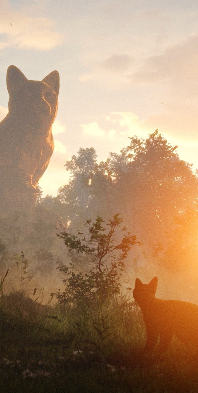 Movie Review — A Perfect Allegory: A Review of ‘Flow’ - ClickTheCity