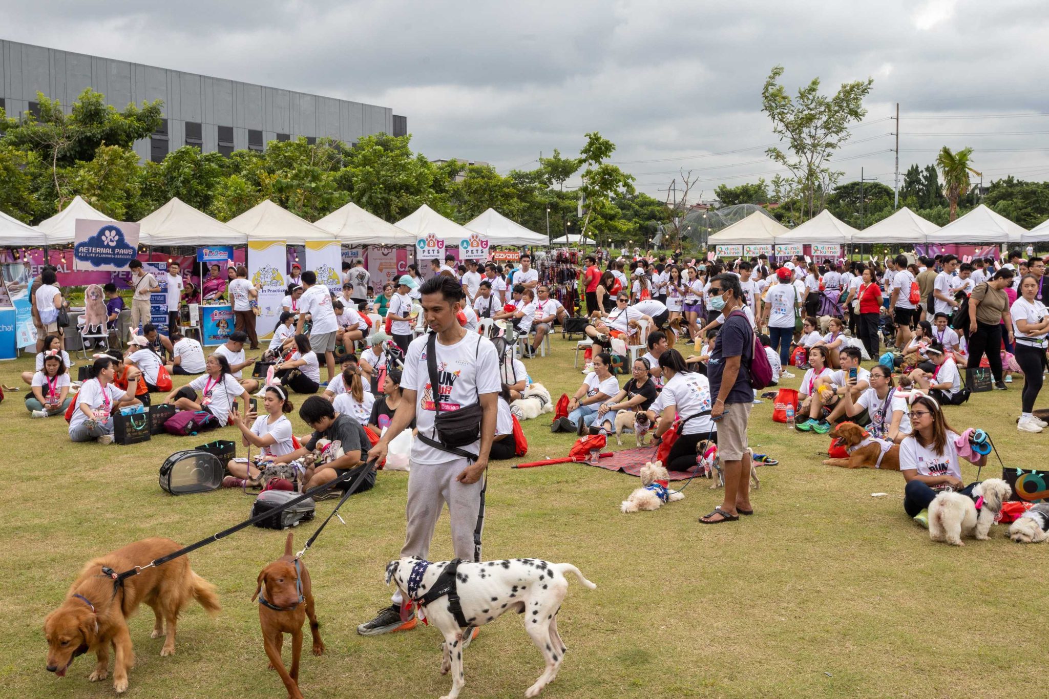 Run Like a Hero: Animal Kingdom Foundation’s Run Fur Life Returns to ...